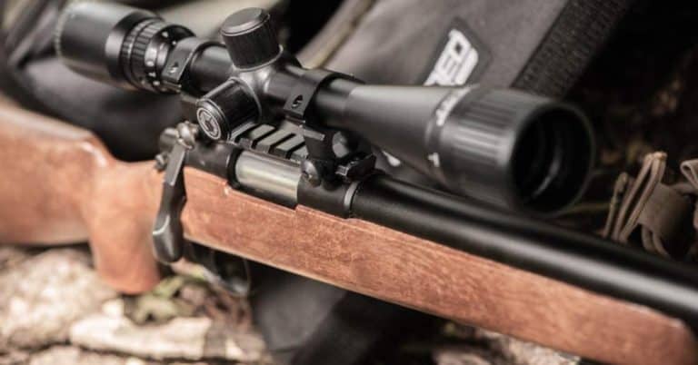 The 5 Best Scopes for 17 WSM (2025 Guide)