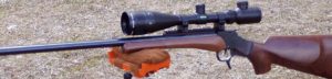 Mueller Scopes Reviews (The 3 Best Optics) (2025 Updated)