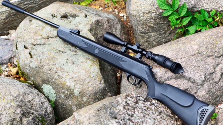 The 5 Best Air Rifle Scopes (2025 Reviews & Recommendations)